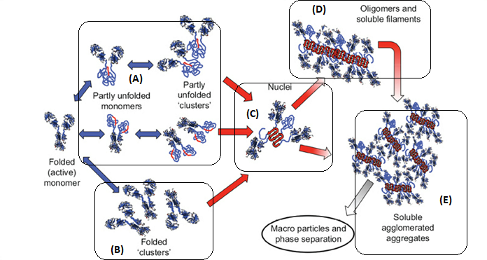 Aggregation | Measurement | RedShiftBio